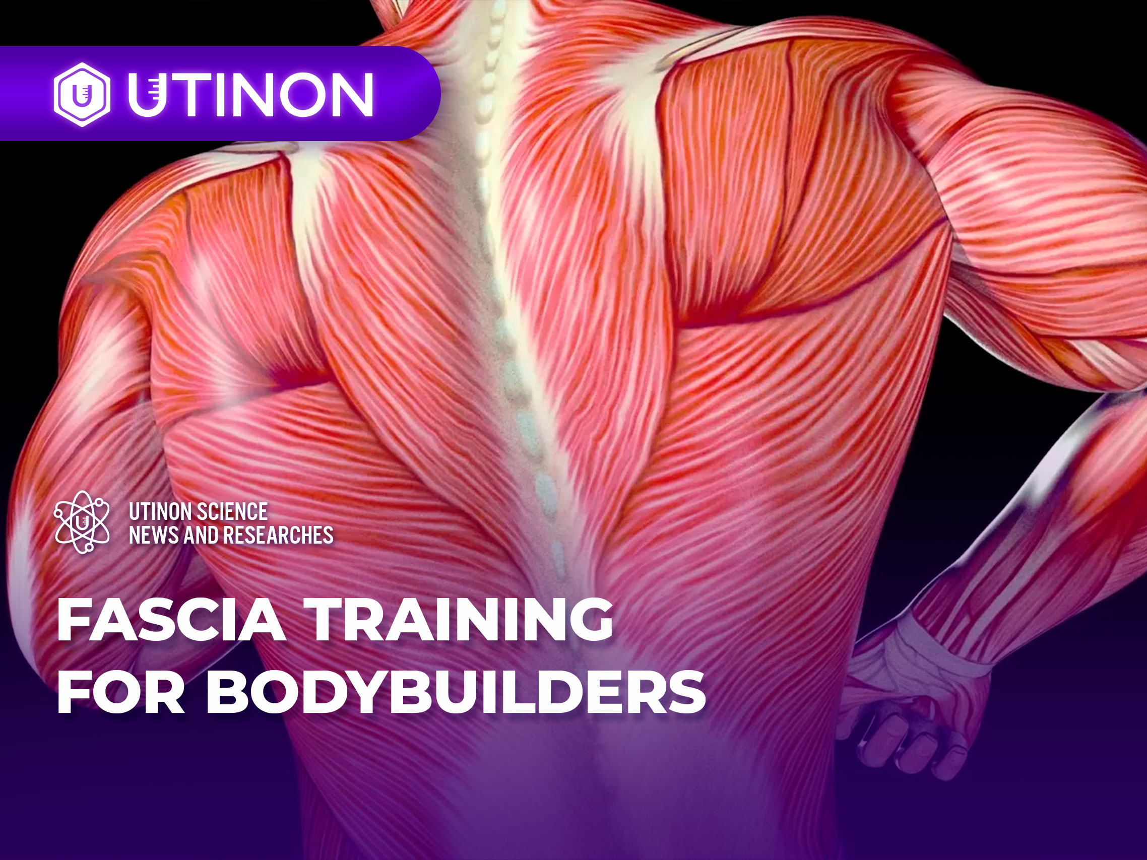 Fascia Training for Bodybuilders: Grow Muscle, Protect Joints | UTINON Bodybuilding Lab