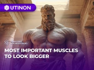 5 Most Important Muscles to Look Bigger | UTINON Bodybuilding Lab