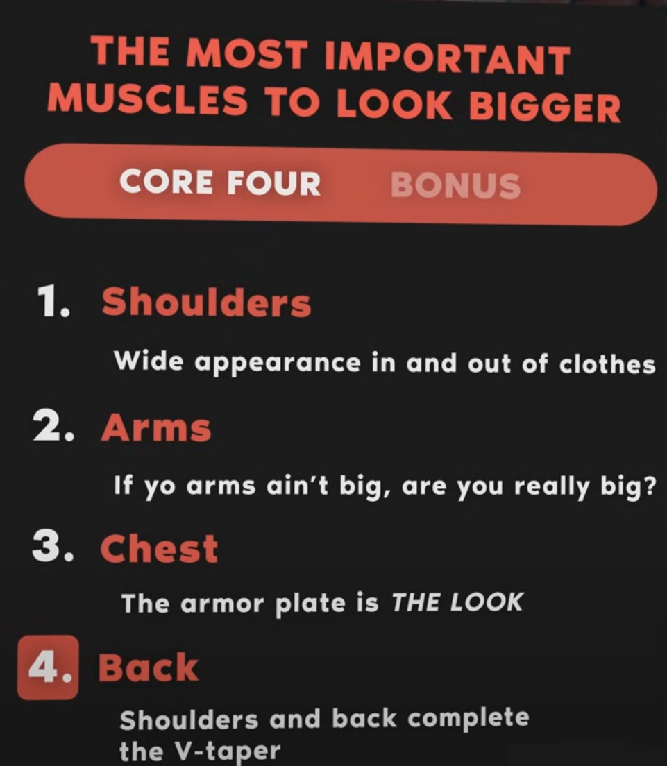 5 Most Important Muscles to Look Bigger | UTINON Bodybuilding Lab